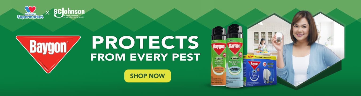 Baygon - WalterMart Delivery