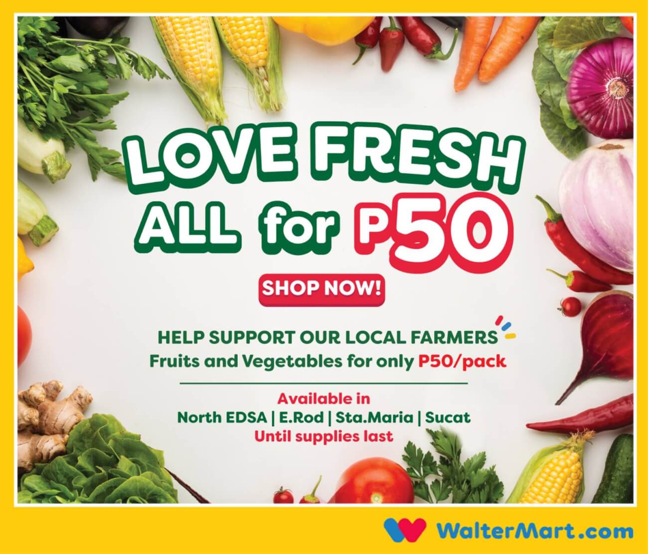 WalterMart Delivery - Biggest Grocery Delivery Service in PH